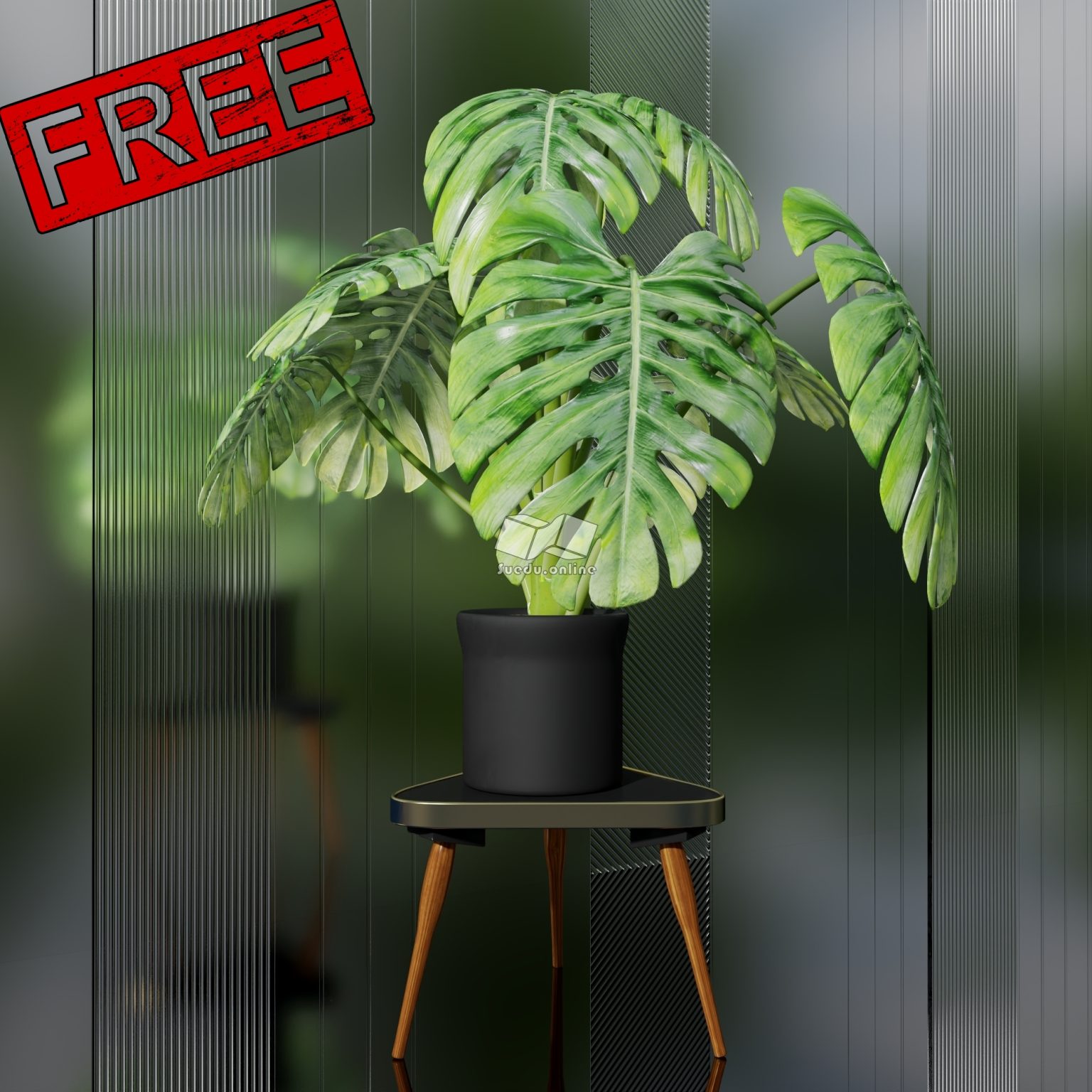 SUEDU_PLANT_01 (FREE)