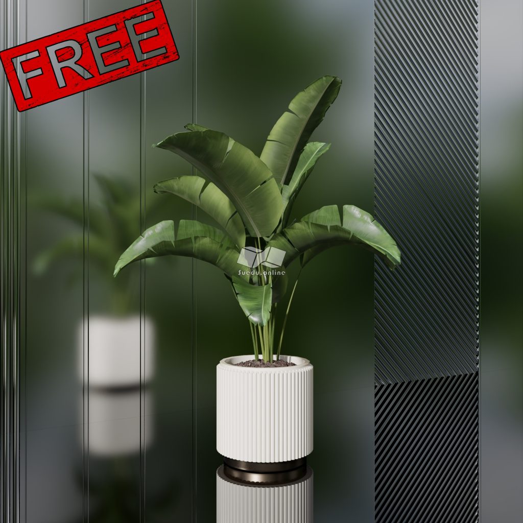 SUEDU_PLANT_10 (FREE)