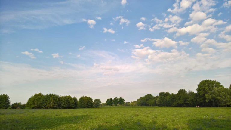 SUEDU_BACKGROUND_VOL.01