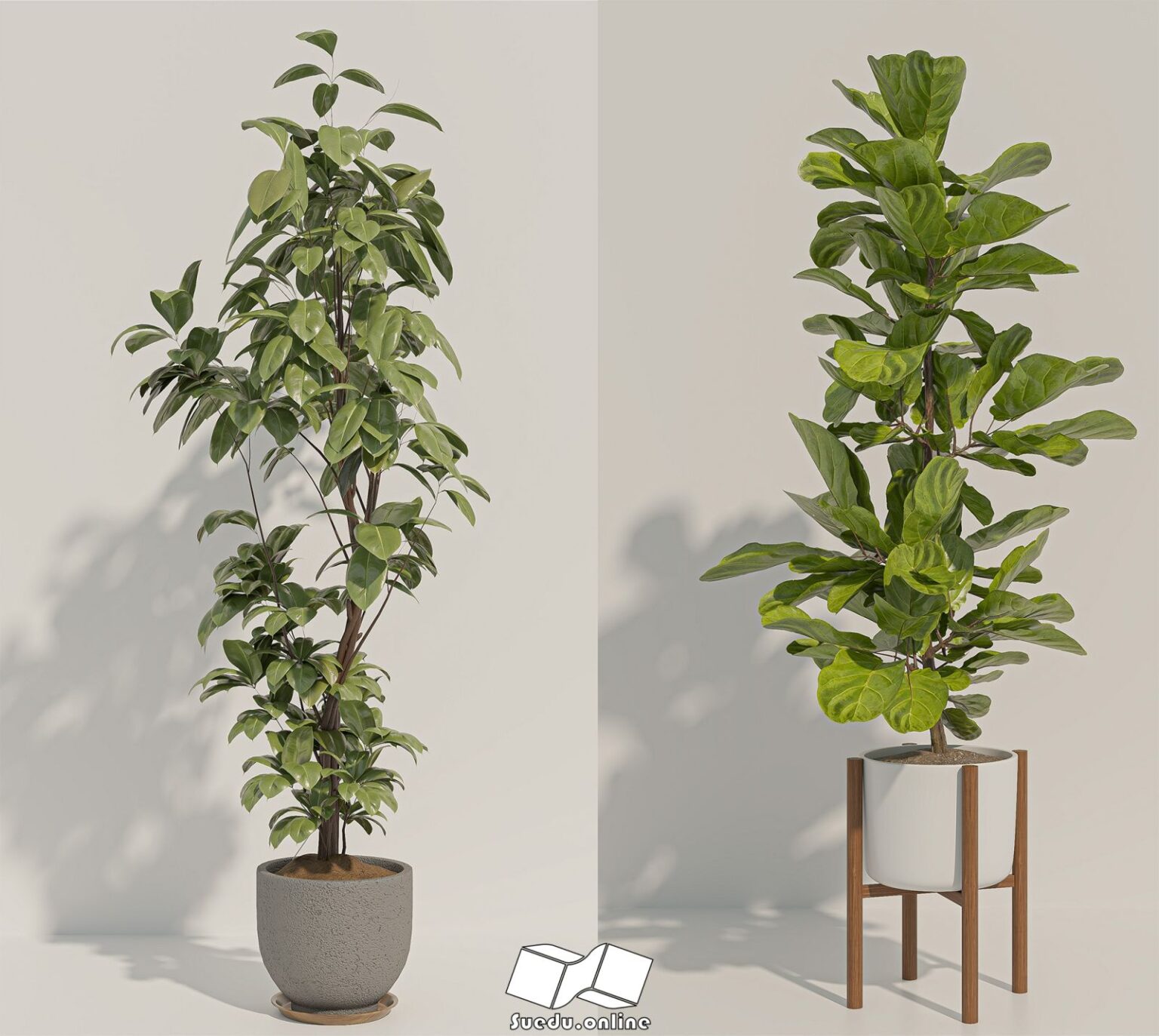 Home 3d-library 🏆 Thư viện SUEDU VIP MEMBER🏆 🔻Tree PLANT SUEDU_PLANT_11+12 ( FREE )