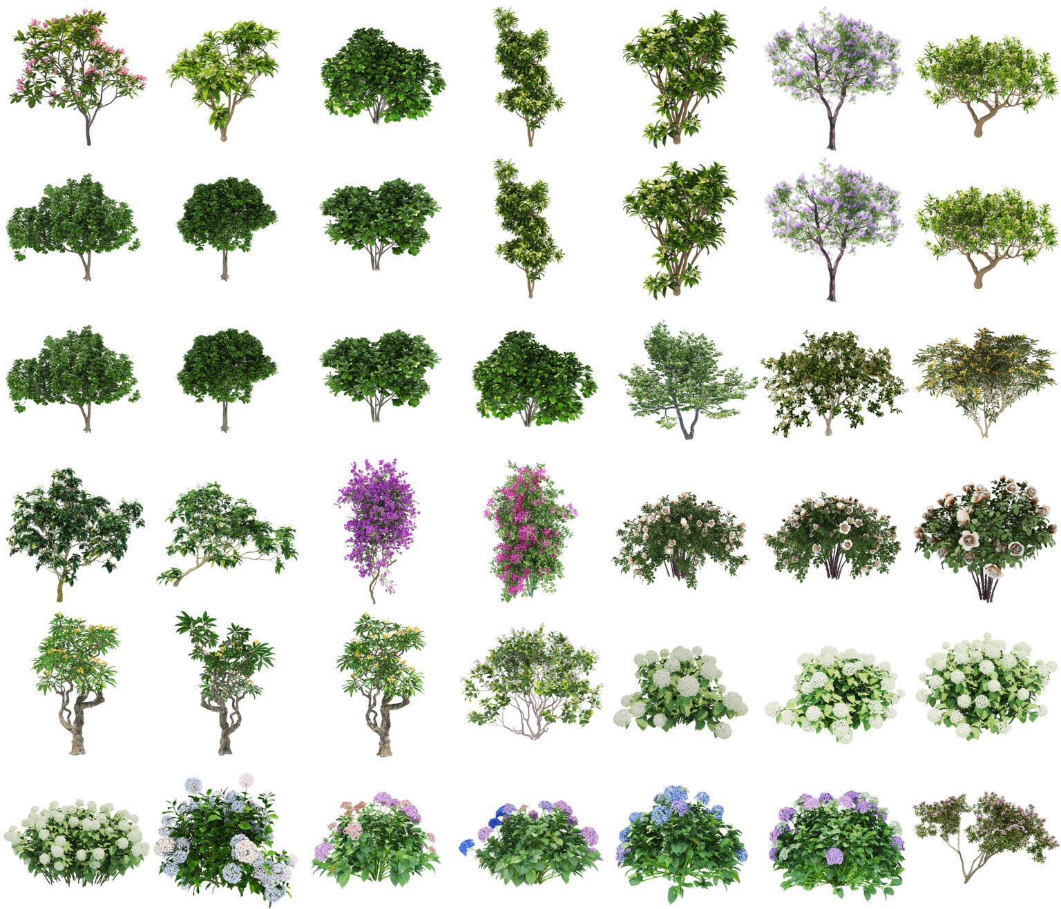 SUEDU_TREE_flowers_PART.01